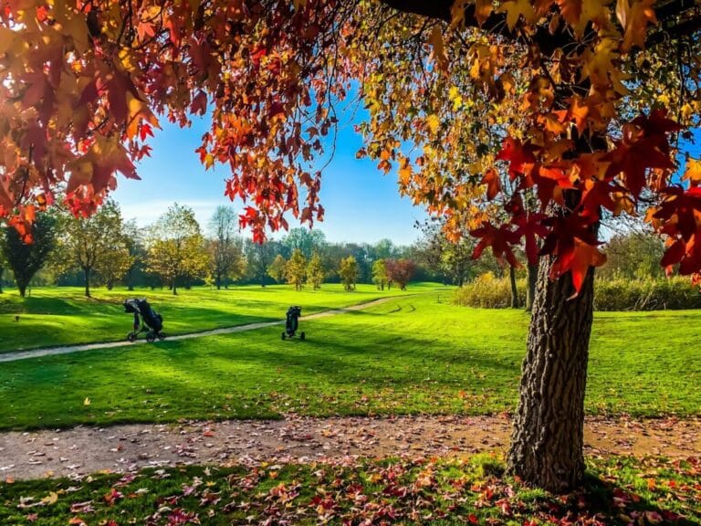 Rhoon Golfcenter - Rotterdam - Golf Startpunt